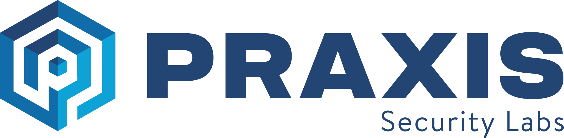 Privacy Policy - Praxis Navigator